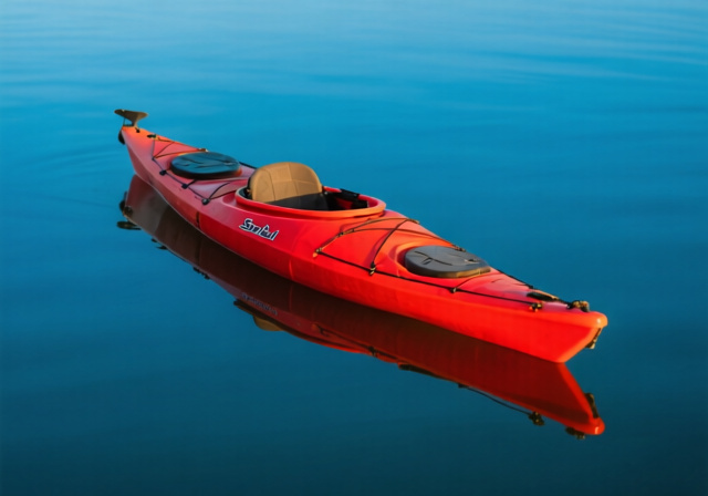 Sun Dolphin Bali SS 10ft Review 2026: Is This Budget Kayak Worth It?