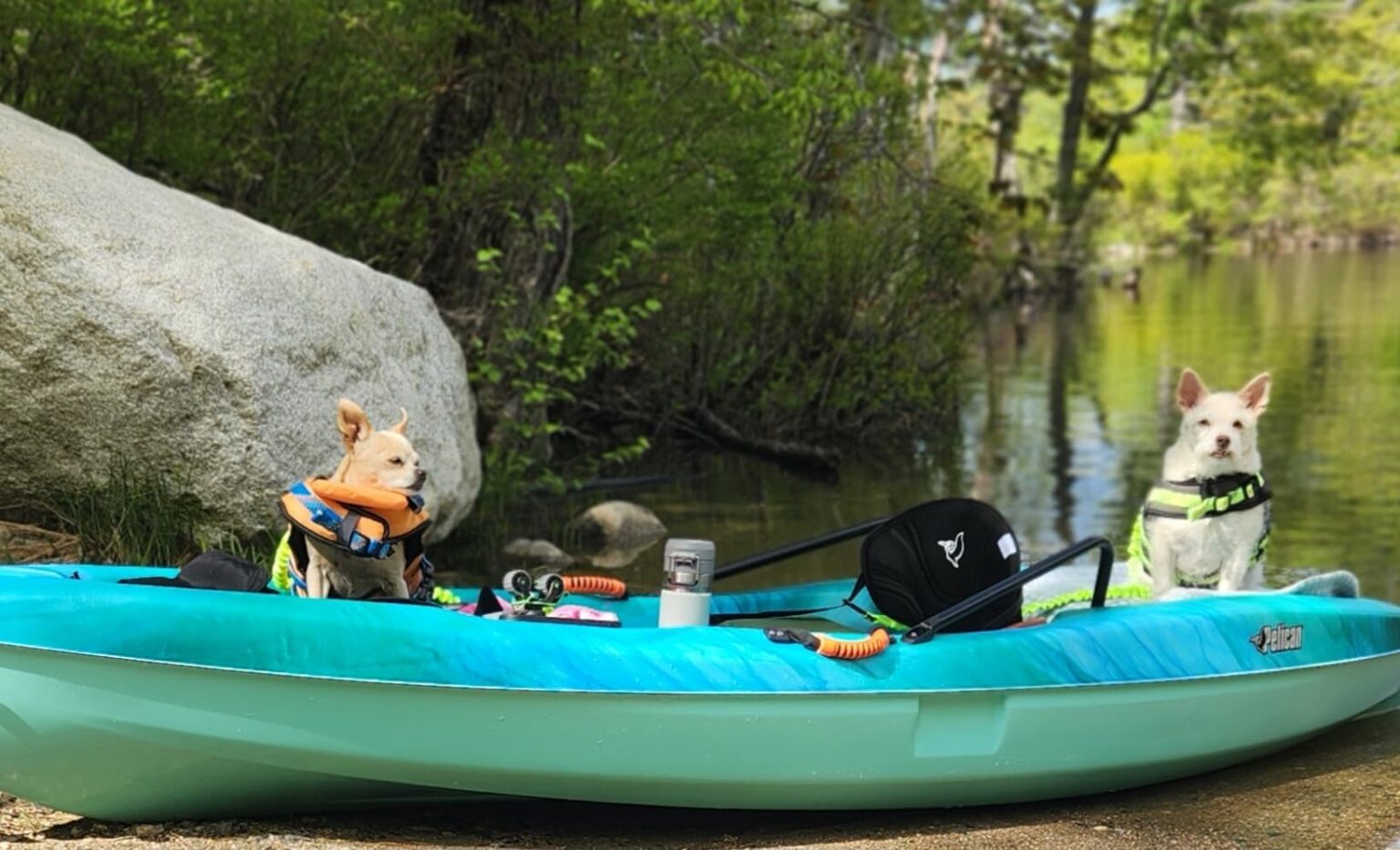 Best Cheap Kayaks 2026: 11 Budget Models Tested and Reviewed